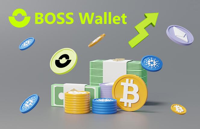bsv能涨到多少截图