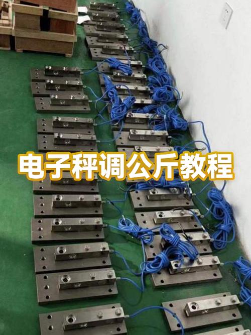 电子秤9两怎么调成1斤图标