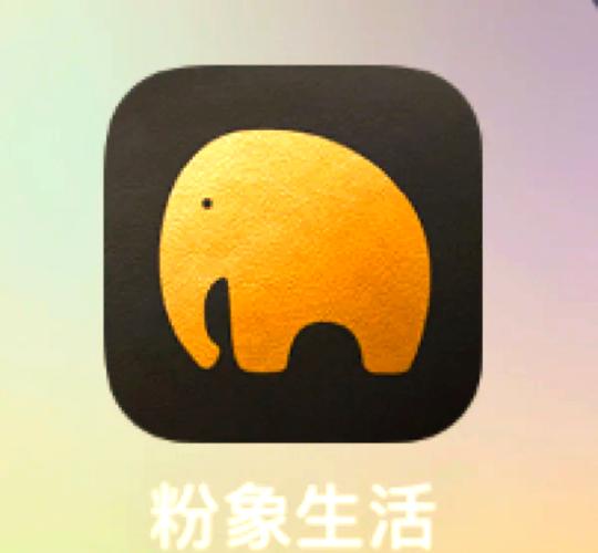 优秀女孩必备app图标