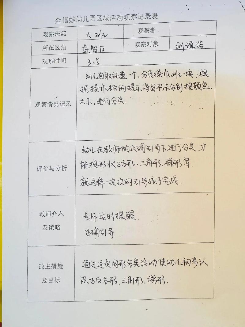 实验幼儿园观察记录表图标