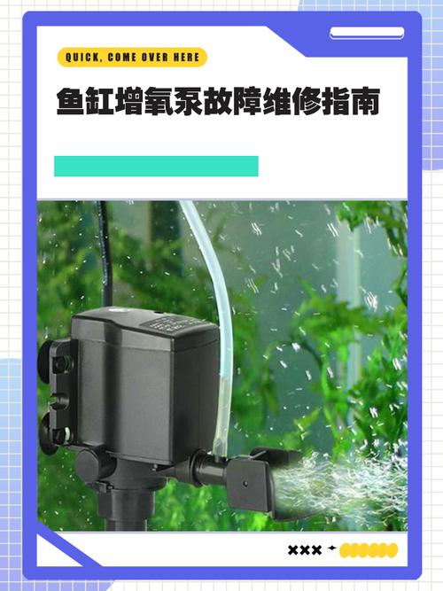 鱼缸过滤器和增氧机是一回事吗图标
