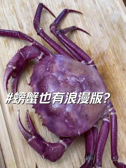 螃蟹好吃吗图标