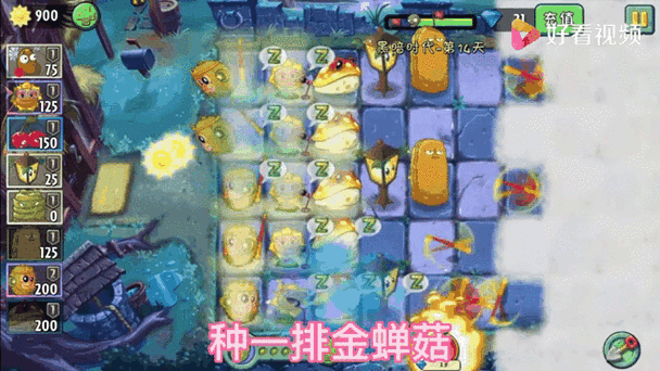 植物大战僵尸黑暗时代14天困难图标