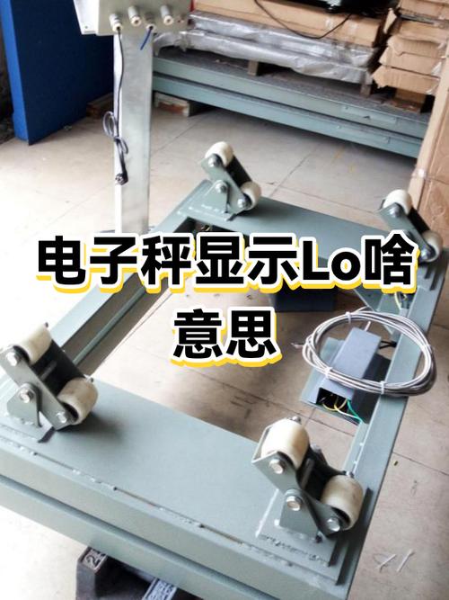 电子秤lo是什么意思图标