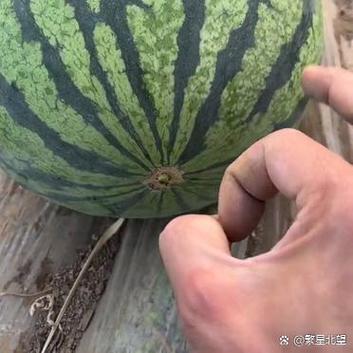 拍西瓜的声音