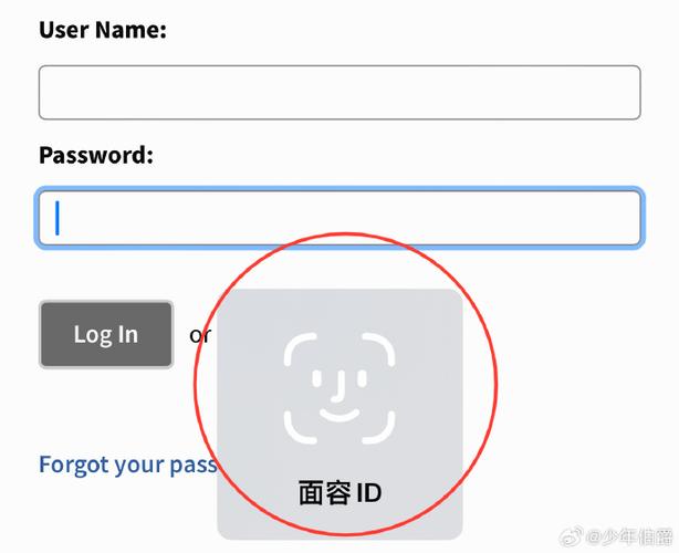 苹果不自动填充密码图标