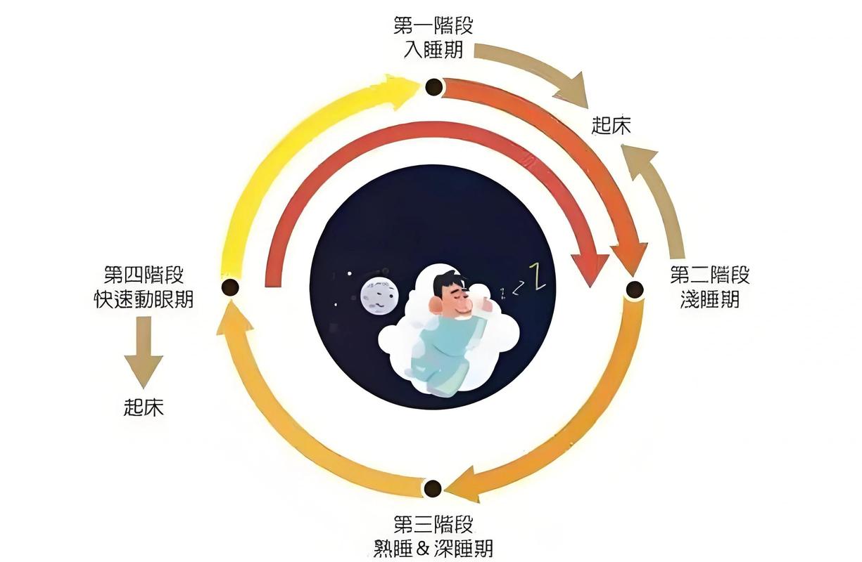 深睡眠和浅睡眠的区别图标