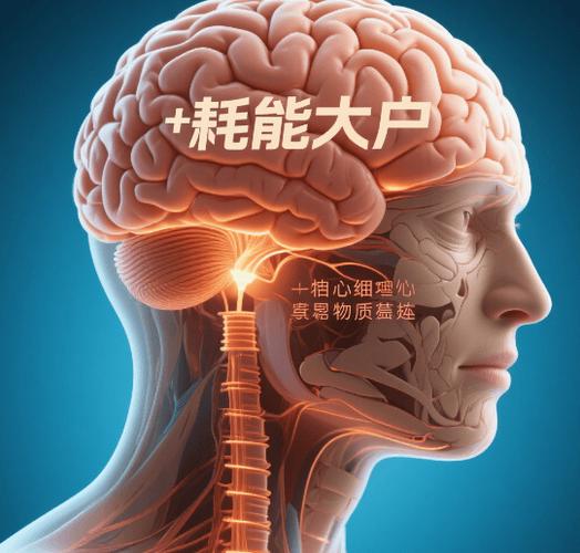 大脑消耗人体多少能量图标