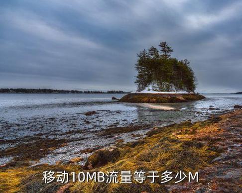 10mb是多少流量多少G截图