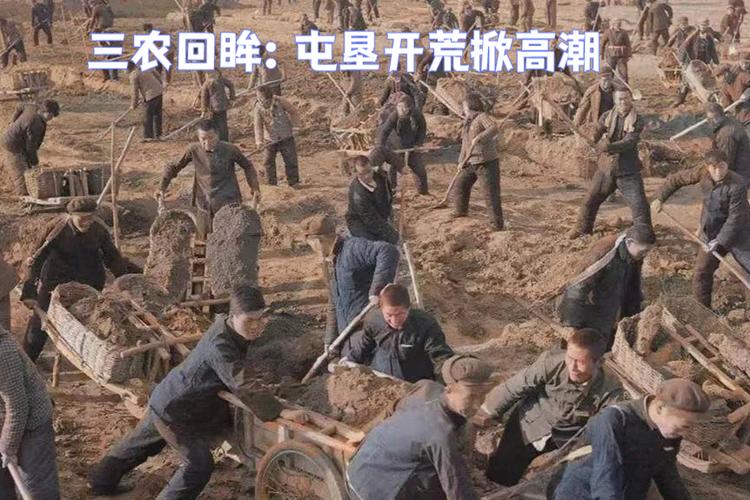 以前开荒的地是谁的图标