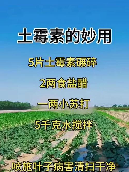 过期土霉素十大妙用图标
