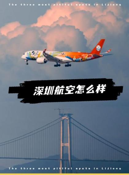 深圳航空官网订票入口截图