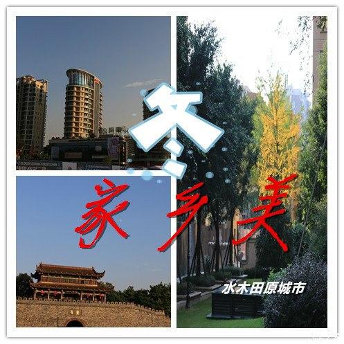 水和木搭配的名字图标