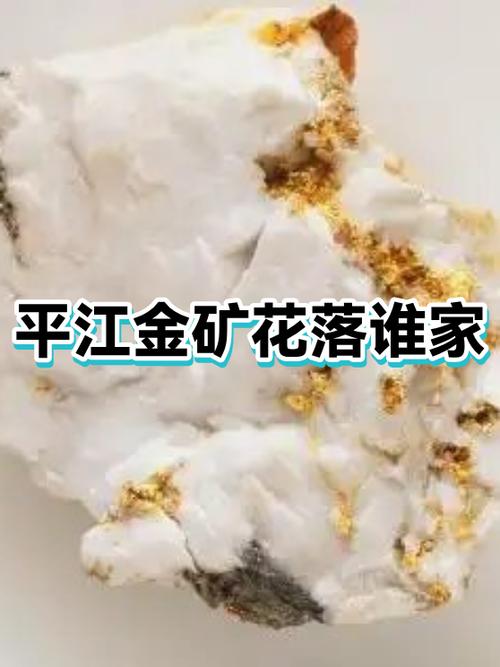 小型金矿一年收入截图