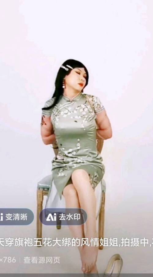 特工17书店旗袍女攻略图标