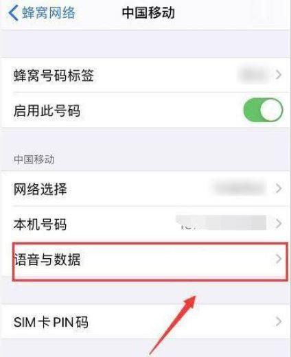苹果13怎么设置4G