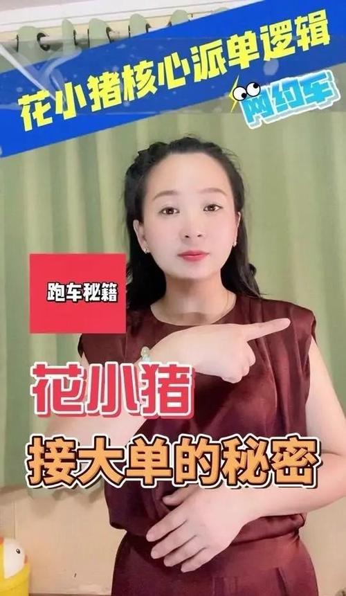 花小猪怎么样优先派单图标