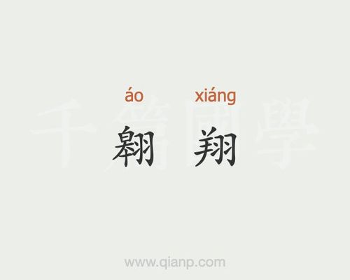 翱翔是什么意思截图