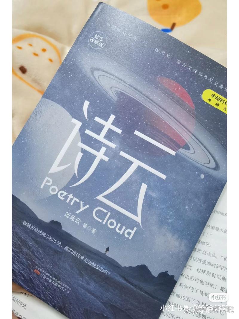 诗云冰昔辅助器截图