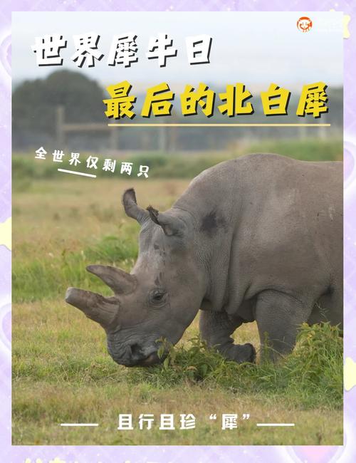 白犀牛的保护级别图标