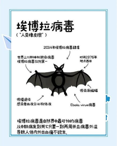 埃博拉病毒在中国吗图标