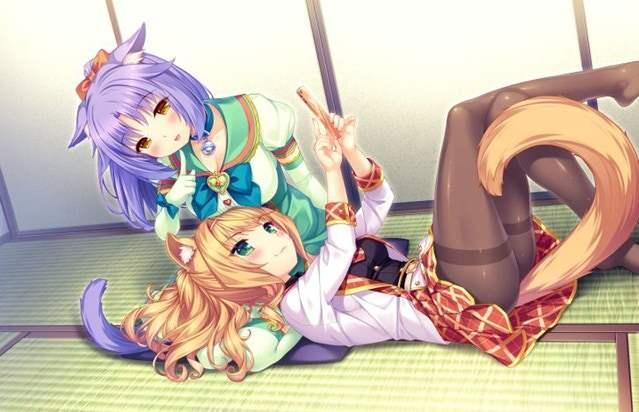 猫娘乐园3无减版在哪能看截图