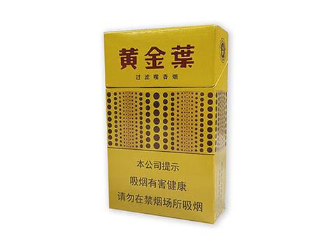 黄金叶(黄金眼)图标