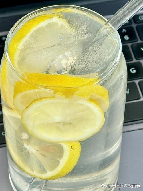 柠檬水用果糖还是果蜜图标