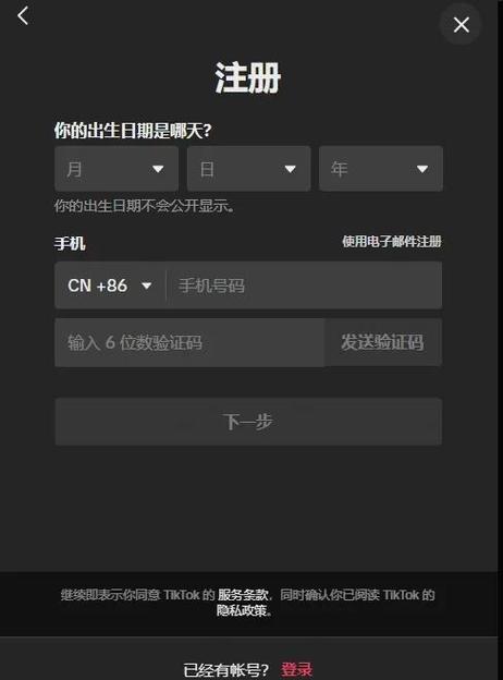 tiktok国际版账号图标