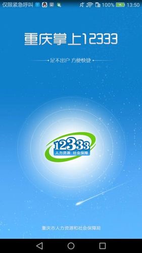 掌上12333app下载图标