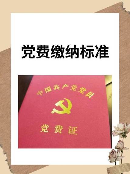 党费多交了怎么办有影响吗图标