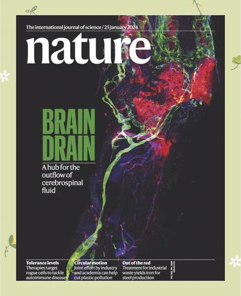 自然期刊nature官网图标