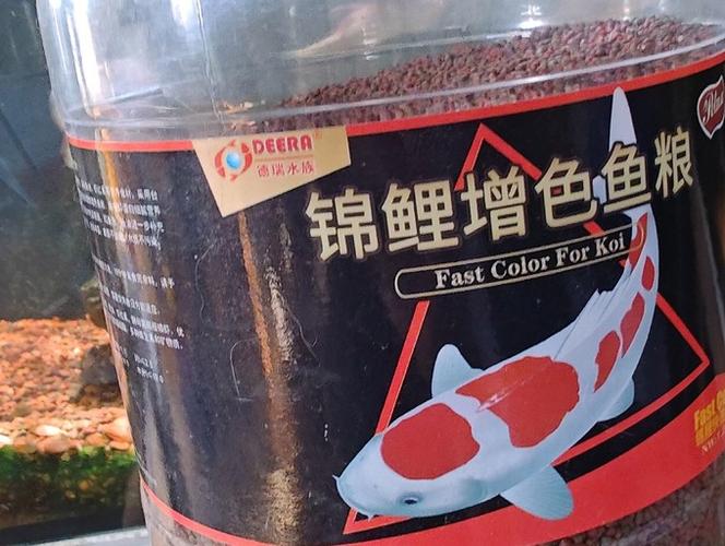 锦鲤饲料十大名牌排名图标