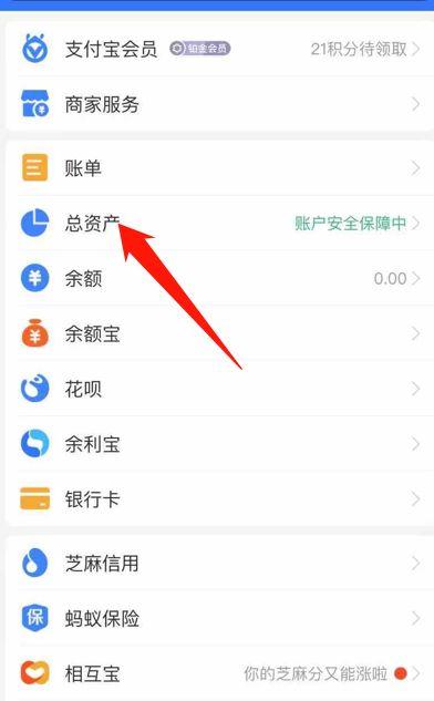 支付宝里的累计收益怎么提现图标