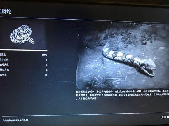 荒野大镖客2瓜玛岛限定动物图标