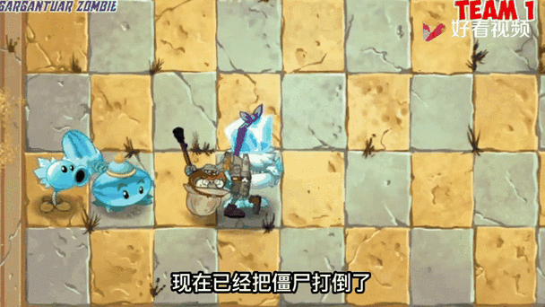 冰系植物vs火系植物图标