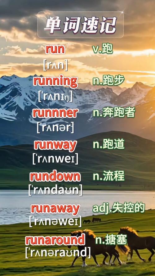 runrepeat中文截图