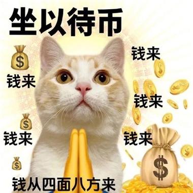 随机金钱的表情包截图
