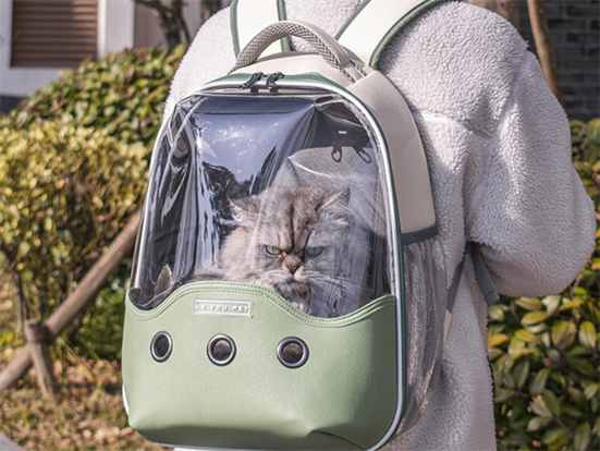 带猫包能上地铁吗图标