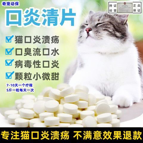 猫流口水吃什么药最好截图