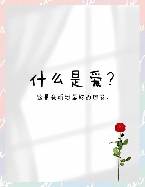 爱是什么 日剧图标