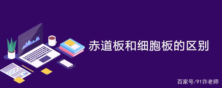 赤道板和细胞板的区别截图