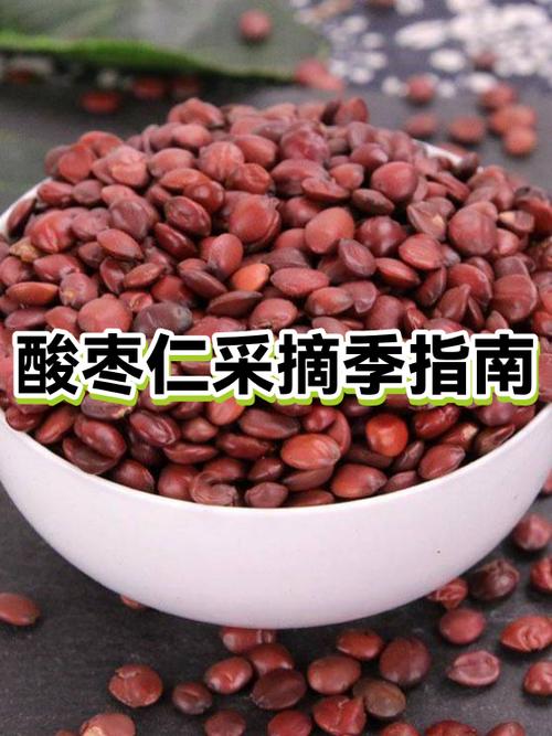 红龟胸仁的功效截图