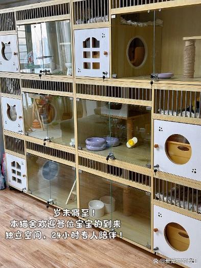国内正规猫舍推荐图标