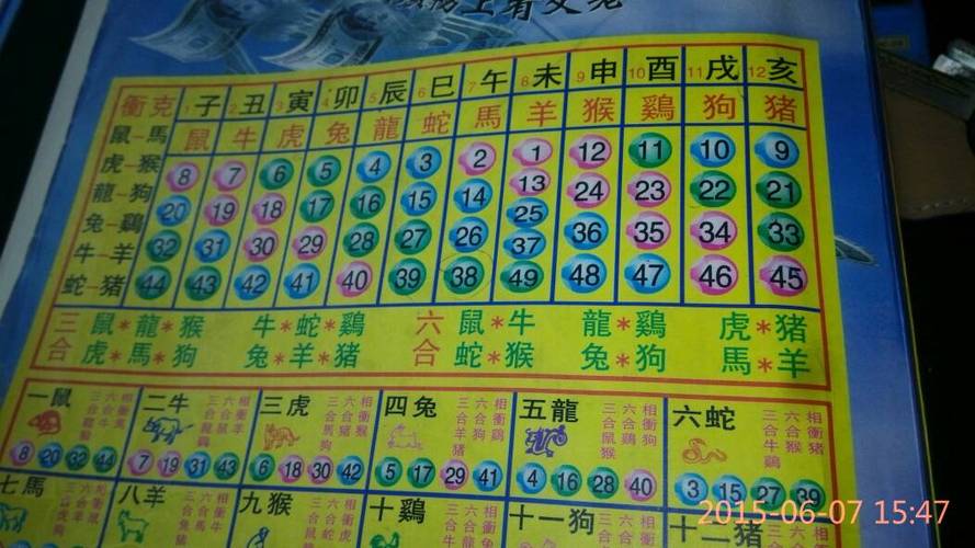 广州十二生肖彩票图标