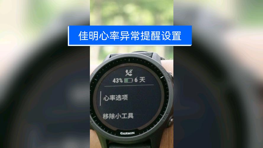 佳明设置心率提醒图标