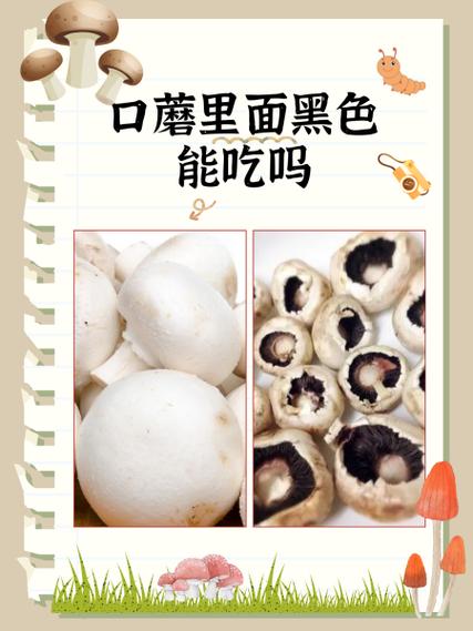 口蘑中间是黑的是坏了吗截图