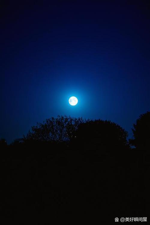 皎洁的夜晚截图