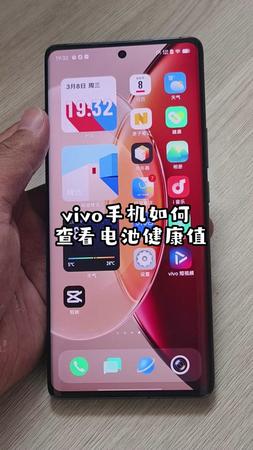 iQOO查电池健康