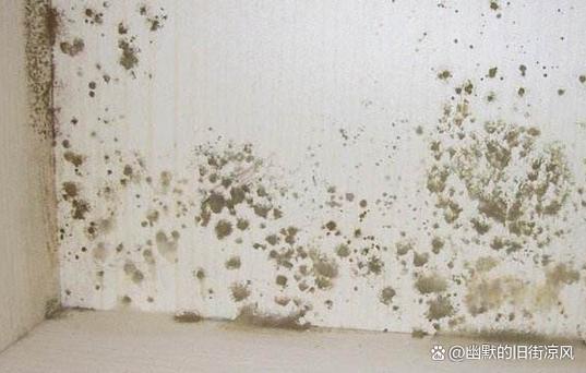 壁纸脏了最简单的方法截图